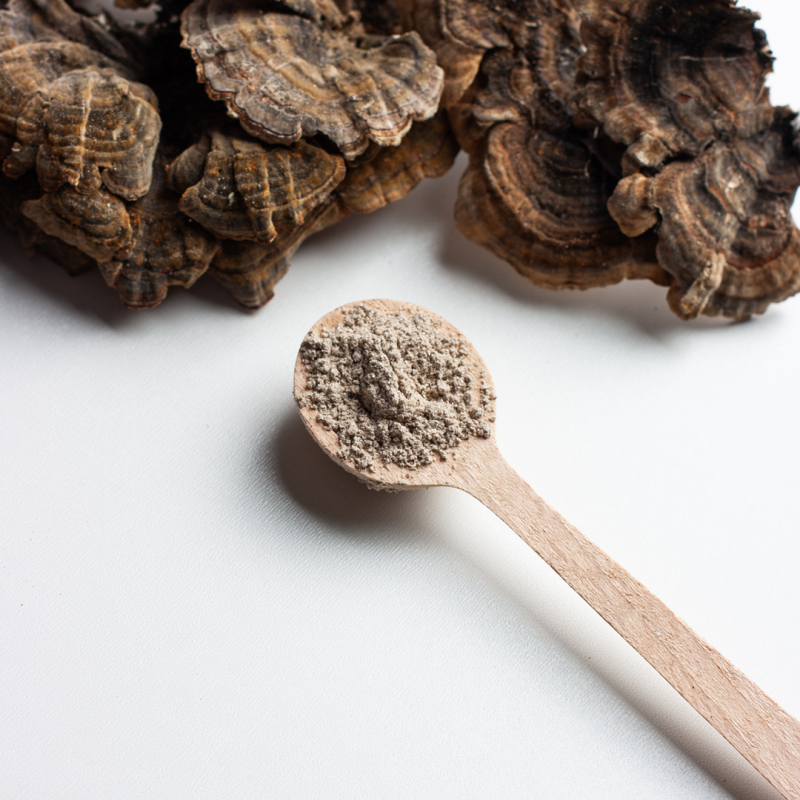 Траметес разноцветный грибной порошок Fungipapa Trametes versicolor 60г ...